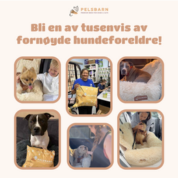 Pelsbarn Beroligende Bilseng til Hund – Pelsbarn